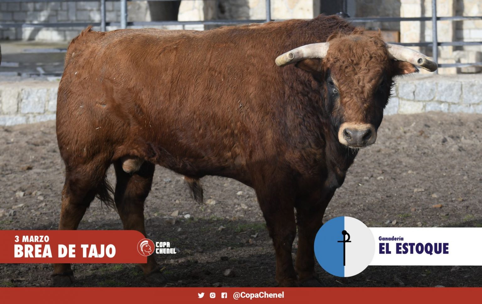 Los toros de El Estoque y Osborne para Brea de Tajo - Copa Chenel